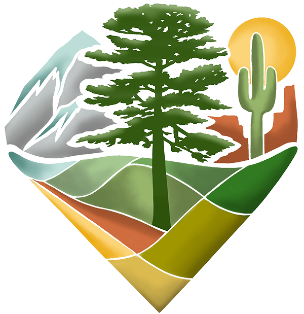 Global Vegetation Project Plant Ecology And Physiology
